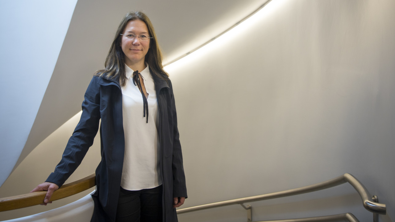 Investigating academic freedom