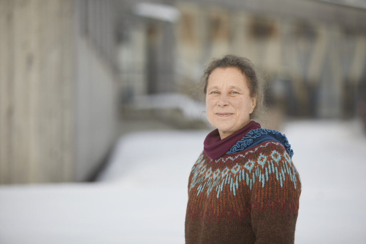 Hvorfor går ulven på veien? Ulveforsker Barbara Zimmermann forklarer.