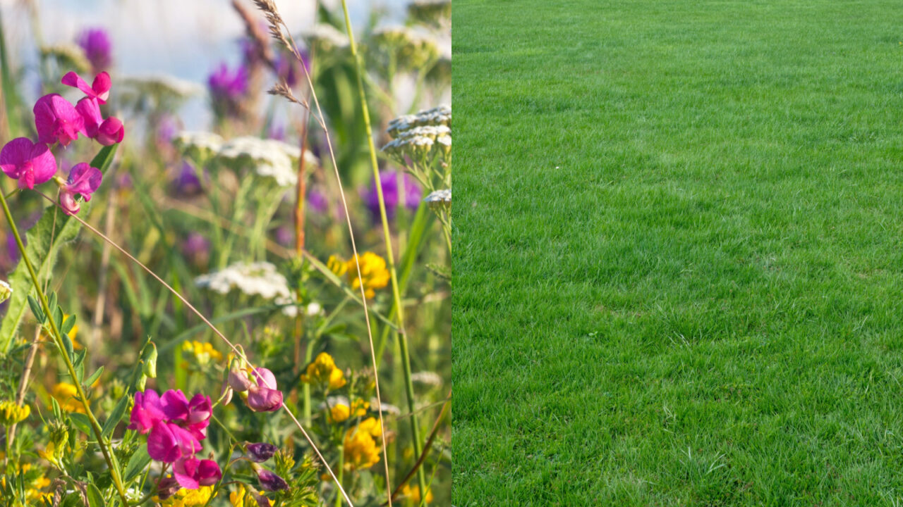 Frem kulturkritikk, ikke bare entusiasme for eng!